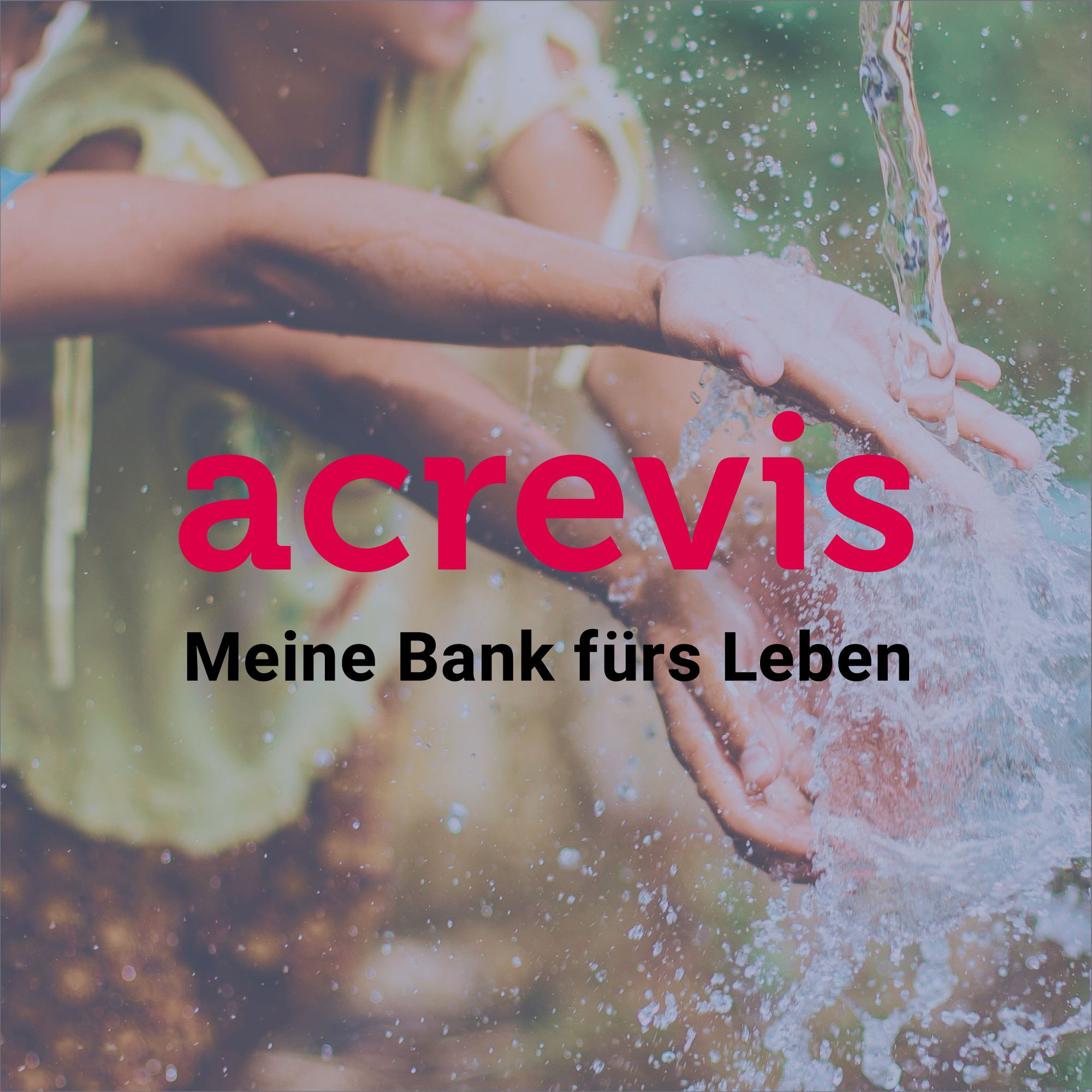 Impact Investing: Acrevis setzt auf die Expertise von Tareno | Tareno AG