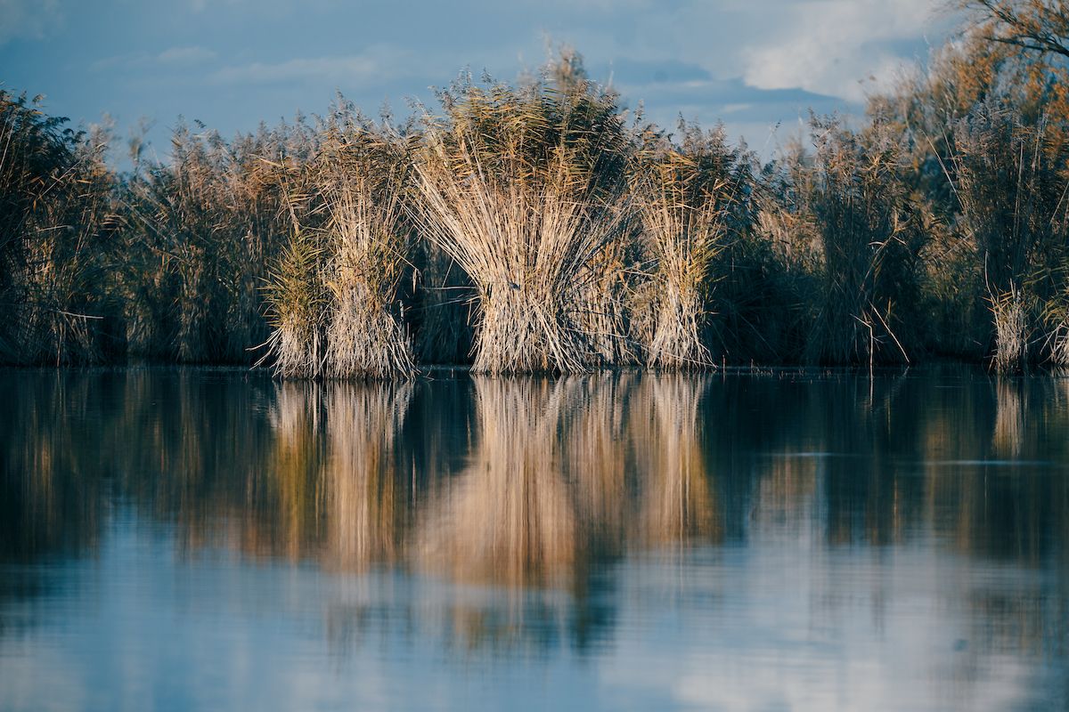 Tareno AG | Vermögen geschickt Anlegen