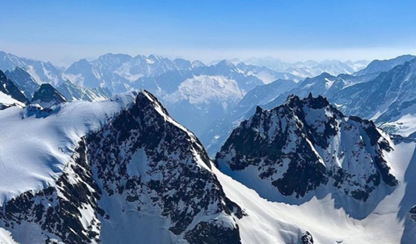 Tareno View January 2025 | Tareno AG